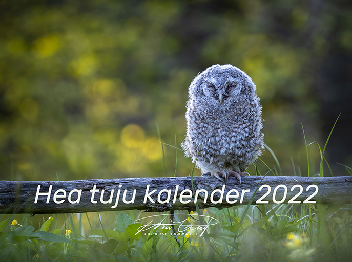 Hea tuju kalender 2022 | Kirjastus Lugu ja lumm